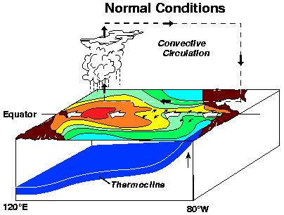 What causes short term changes in ocean heat?